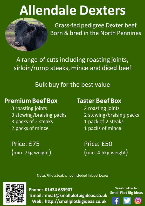 Autumn 2017 – Dexter cattle and beef boxes – Small Plot, Big Ideas